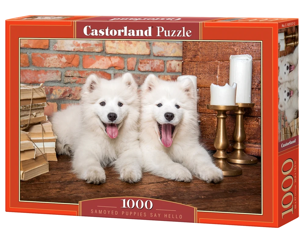 Castorland - Samoyed Puppies Say Hello (1000pcs) – Jix Hobbies